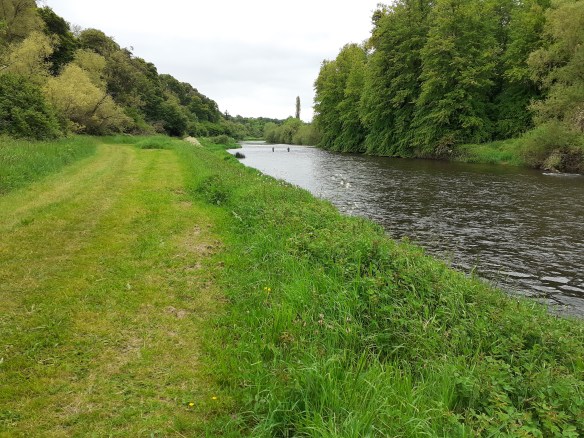 Nore way! | Game Fishing Ireland